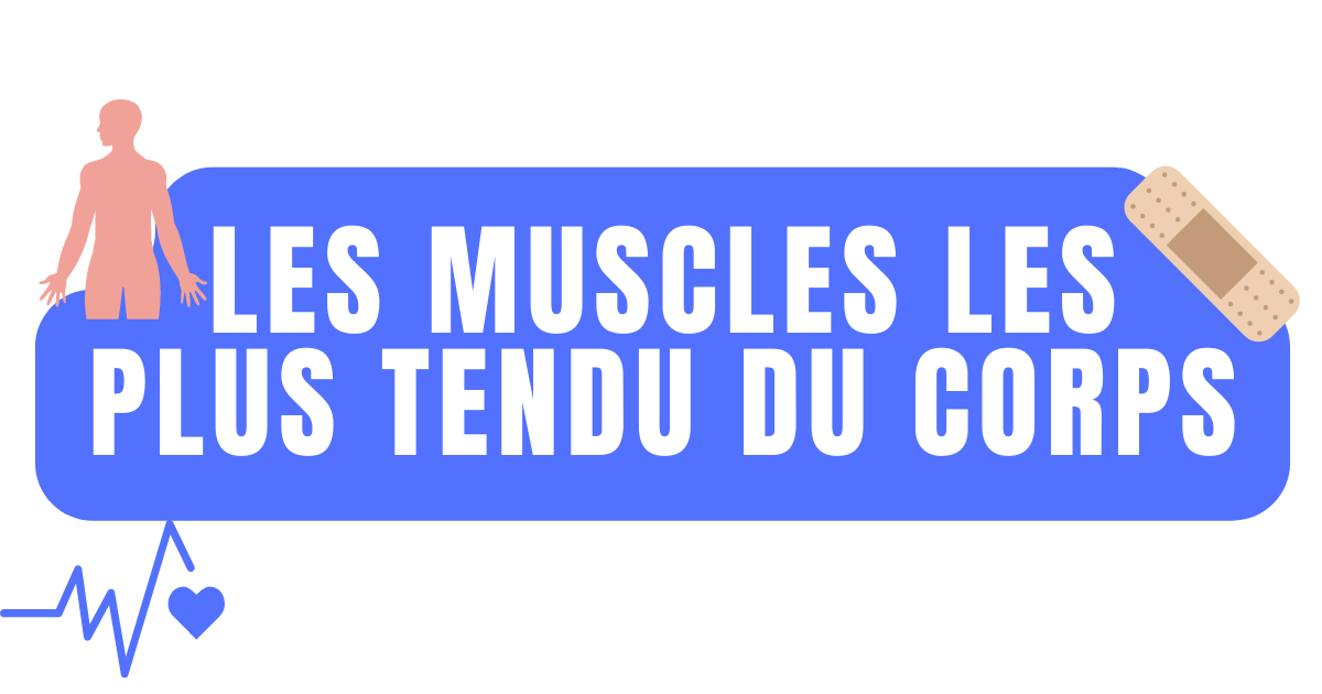 Les muscles du corps les plus stressés et tendu – Détente & Bien-Être